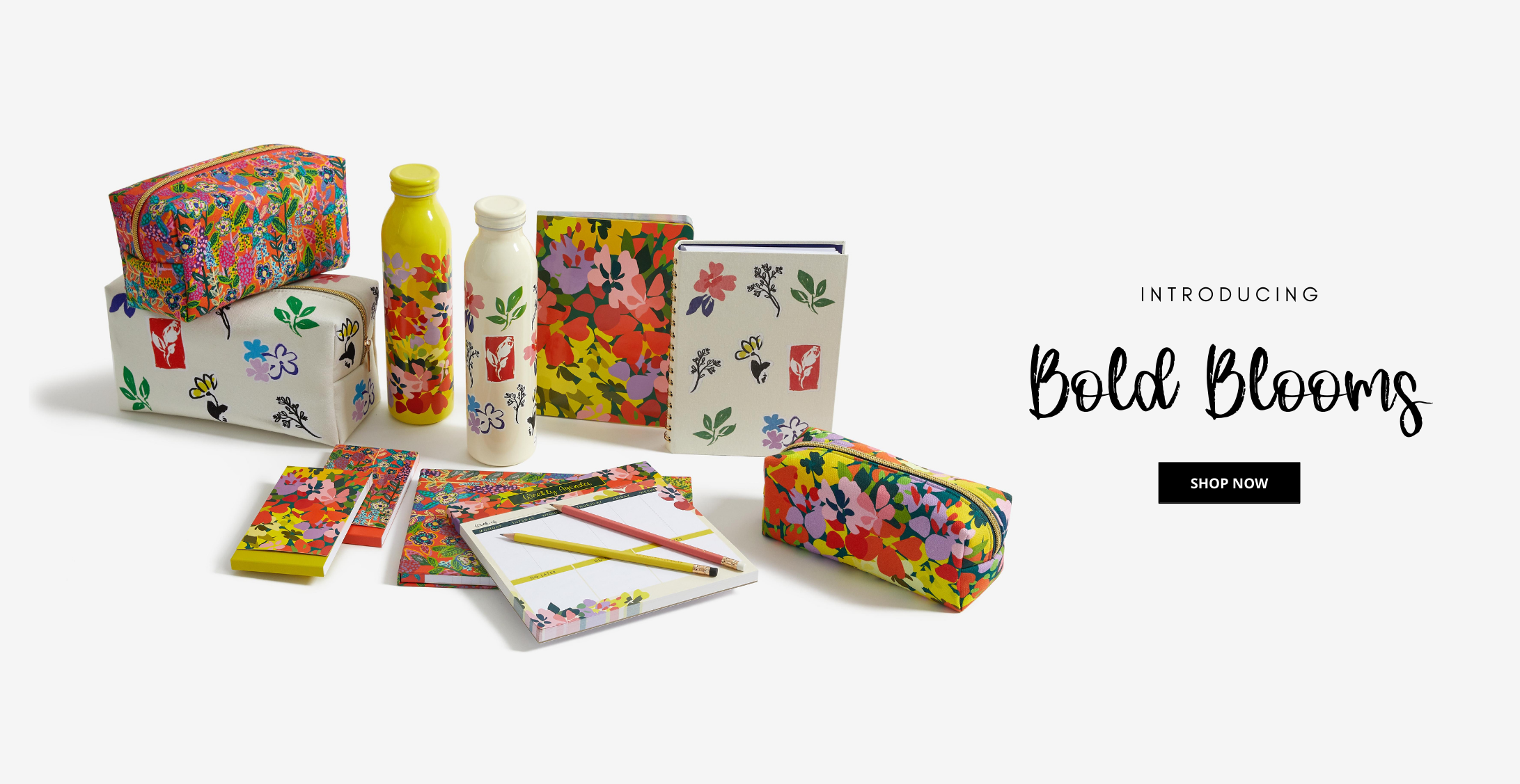 Home - Molly & Rex Stationery & Gift